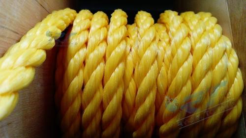 Niña salva a su madre cortando el mecate con que se iba a quitar la ...