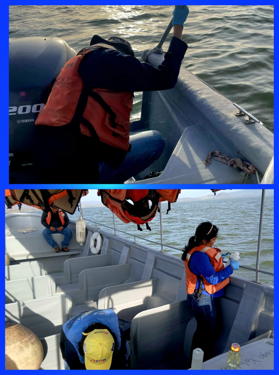 La transformación silenciosa que está devolviendo la vida al Lago ...